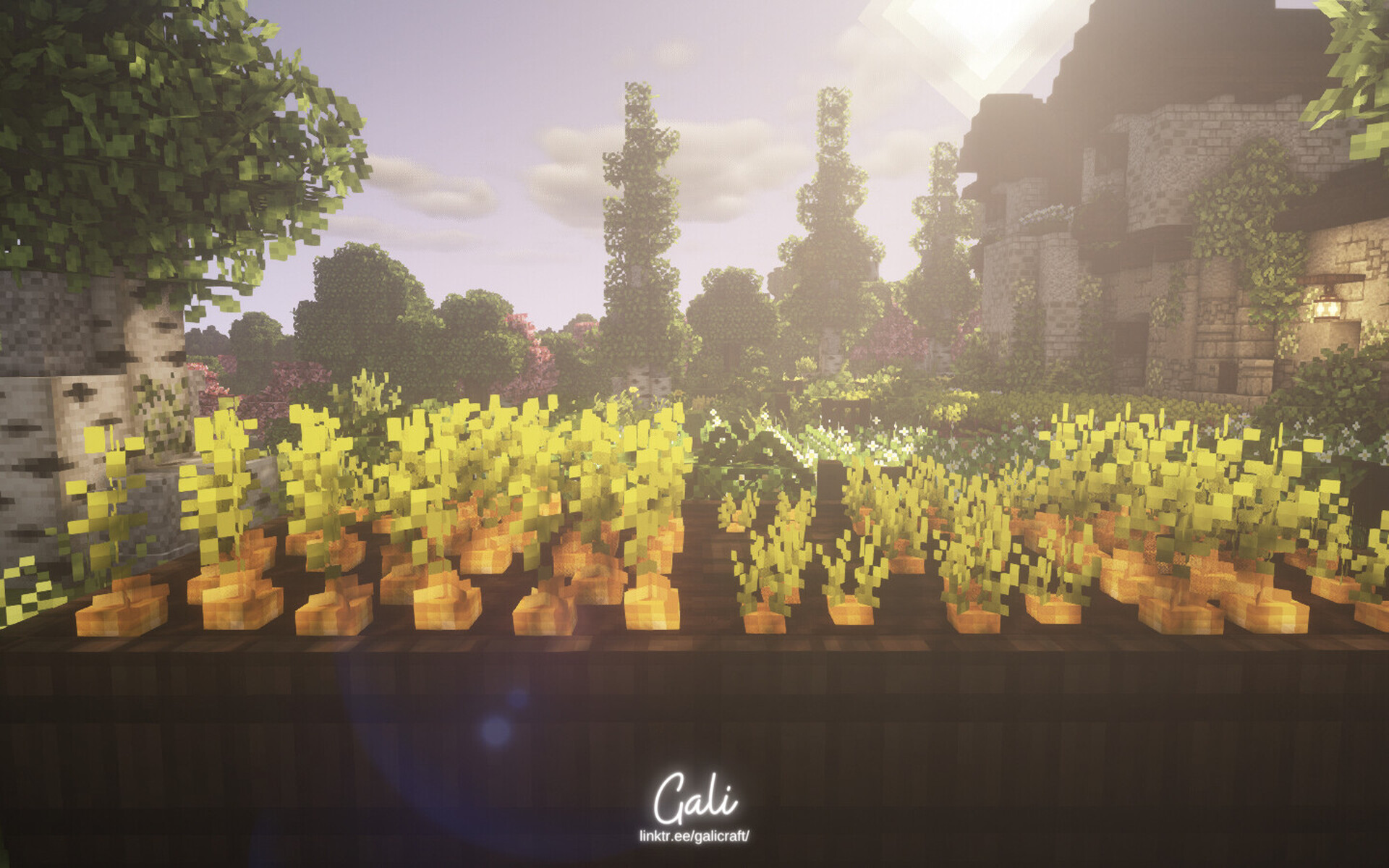 Farmer's Crops | Mizuno's 16 Craft Add-on Minecraft Texture Pack