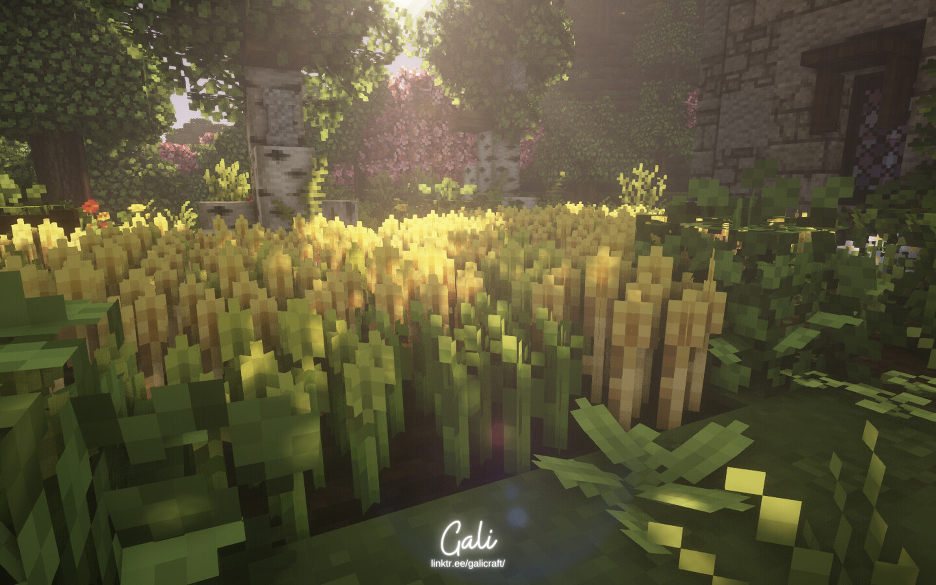 Farmer's Crops | Mizuno's 16 Craft Add-on Minecraft Texture Pack