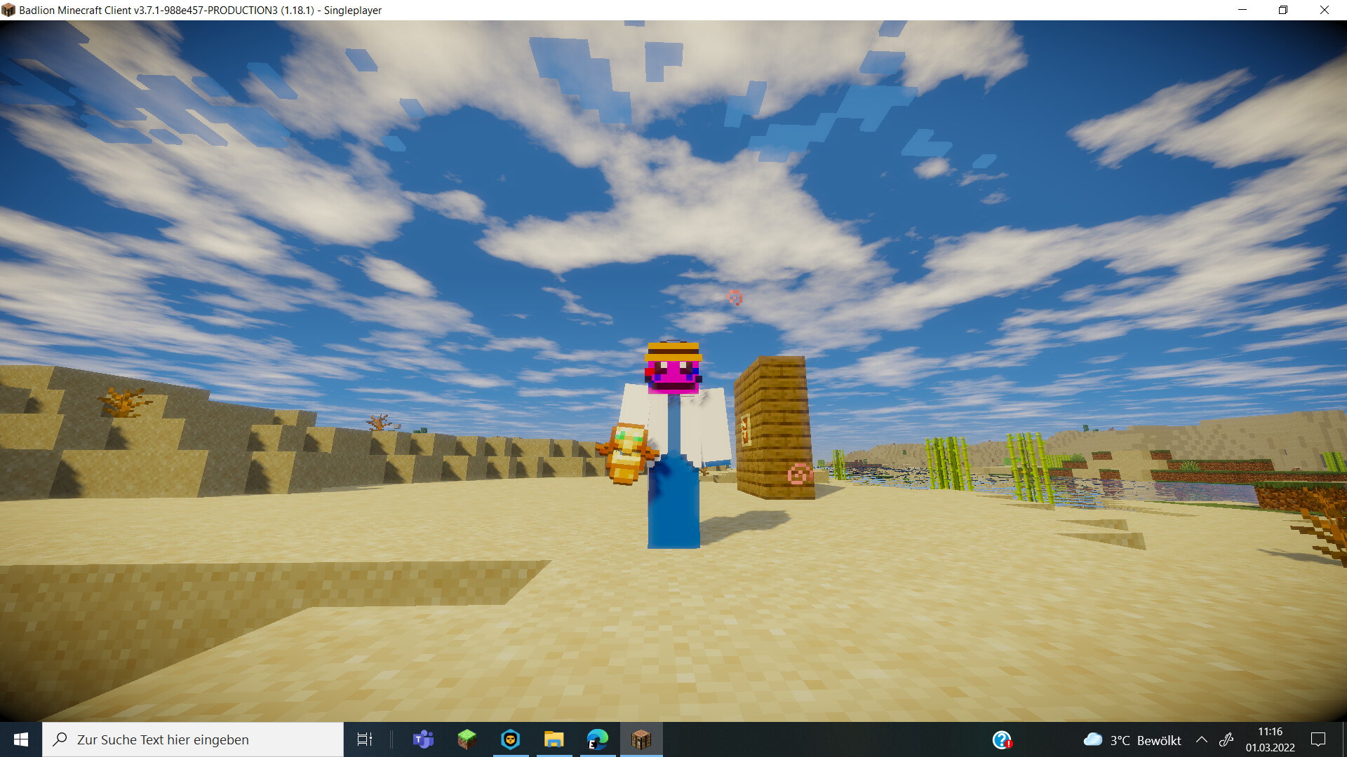 My First 3D Textur pack Minecraft Texture Pack