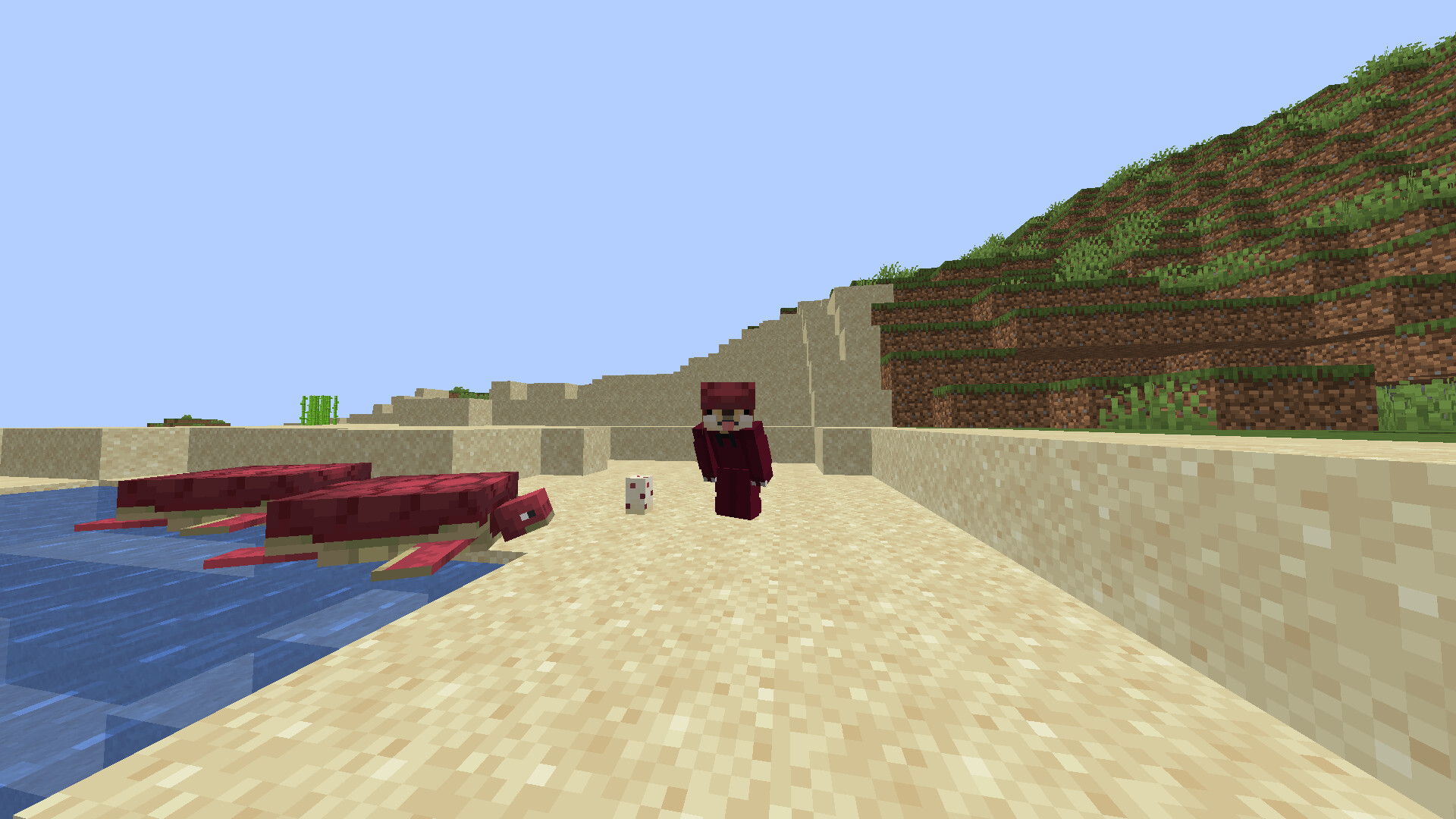 Red Turtle Minecraft Texture Pack