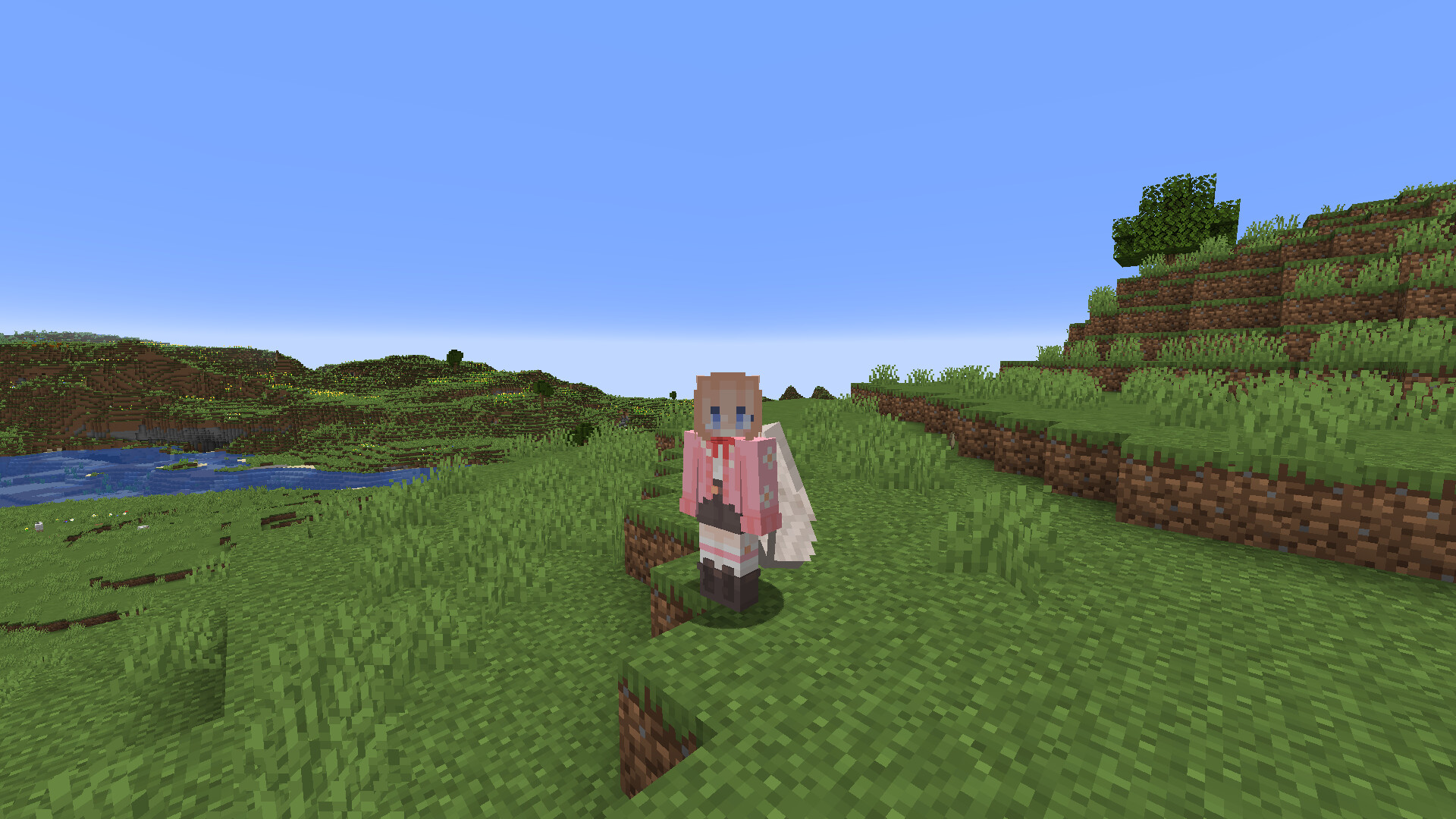 Angel Wing Elytra Pog Minecraft Texture Pack