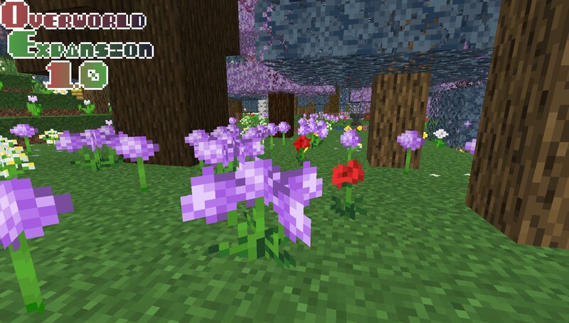 Overworld Expansion 1.0 OVER 1000 FEATURES (OPTIFINE REQUIRED ...
