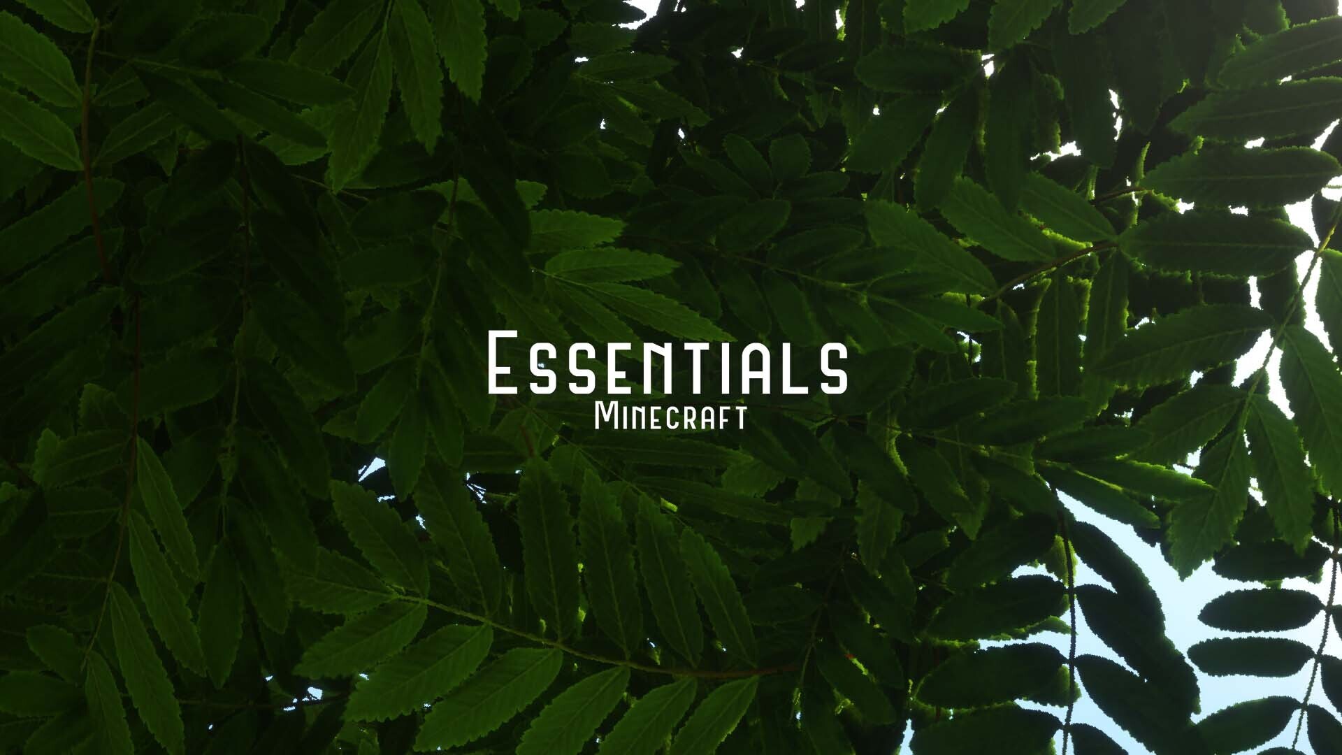 Essentials [1.19] [1024x1024] Minecraft Texture Pack