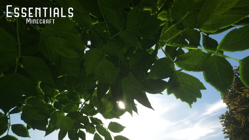 Essentials [1.19] [1024x1024] Minecraft Texture Pack