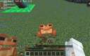 Temperate Frog/Orange Frog Totem Minecraft Texture Pack