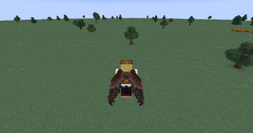 Elytra Minecraft Texture Packs | Planet Minecraft Community