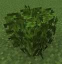 Realistic Leaves Minecraft Texture Pack