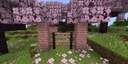 Better Cherry Planks and Leaves (23w07a) Minecraft Texture Pack