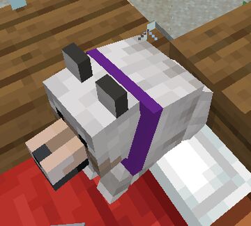 Wolf Minecraft Texture Packs | Planet Minecraft Community