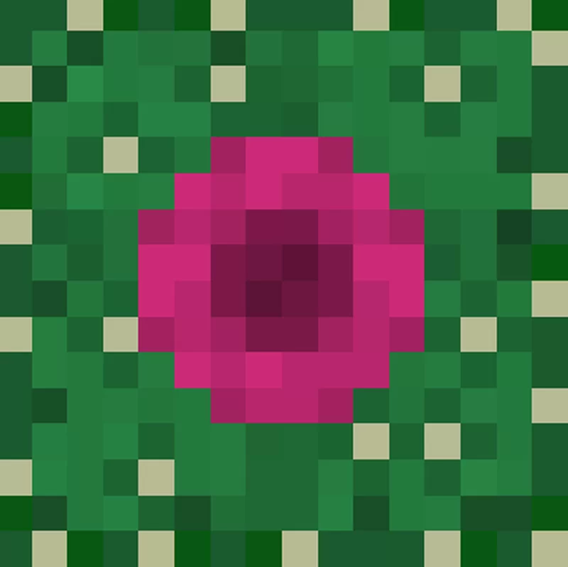 Cactus Chorus Minecraft Texture Pack
