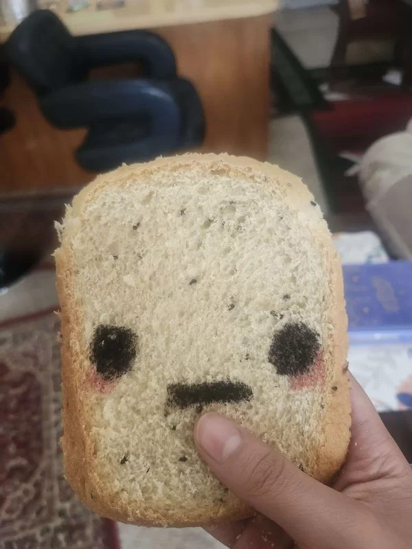 Better Saloafs Minecraft Texture Pack