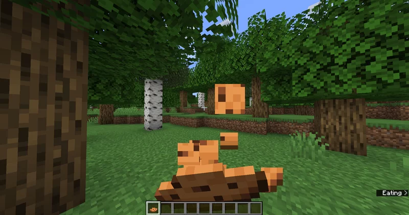 Vanilla Animated Food Minecraft Texture Pack