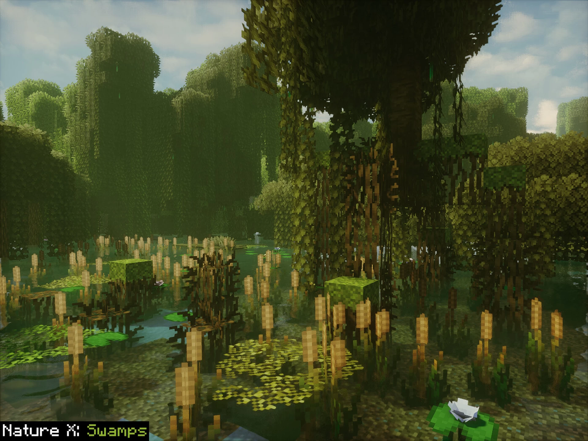 Minecraft Nature Scene