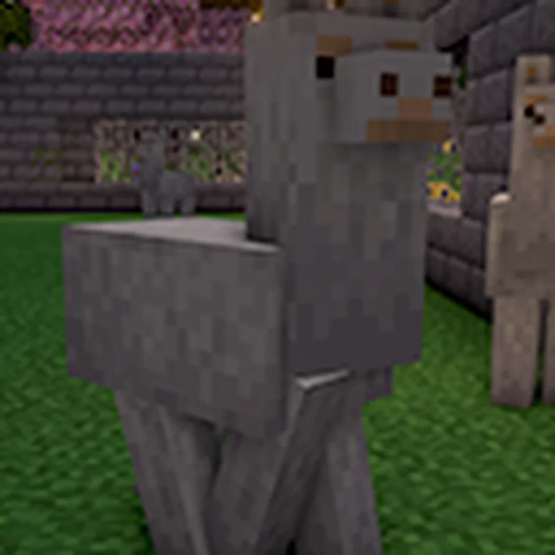 Gri Lama - Grey Llama Minecraft Texture Pack
