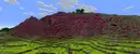Very, Very, VERY Trippy Texture Pack Minecraft Texture Pack