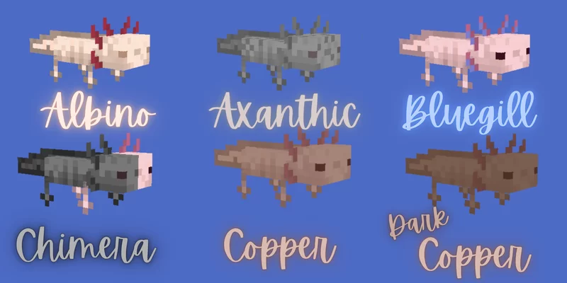 Realistic Axolotl Morphs Minecraft Texture Pack