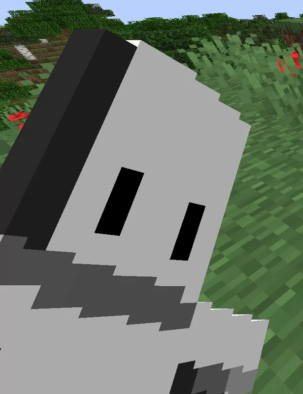 Accessibility totem Minecraft Texture Pack