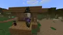 Swamp Witch Minecraft Texture Pack