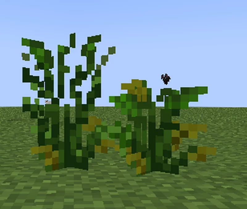 wild rice Minecraft Texture Pack