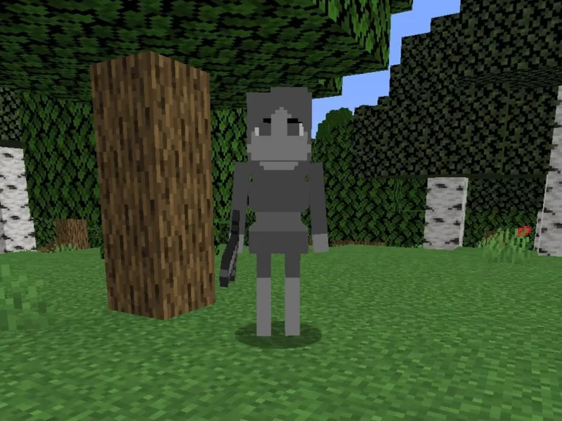 Wither Skeleton Girl Texture Pack Minecraft Texture Pack
