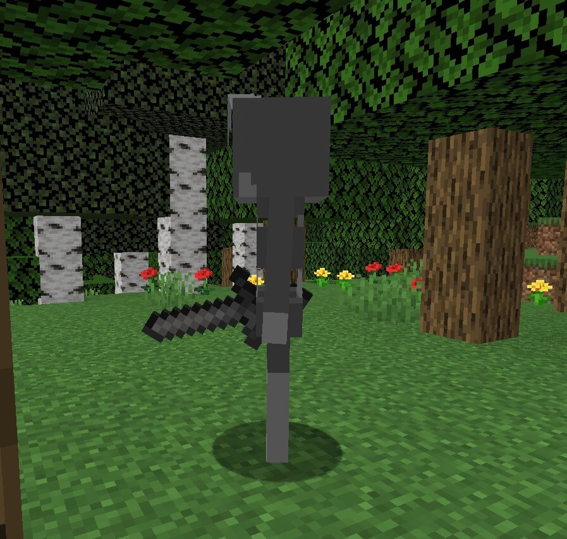 Minecraft Wither Skeleton Girl