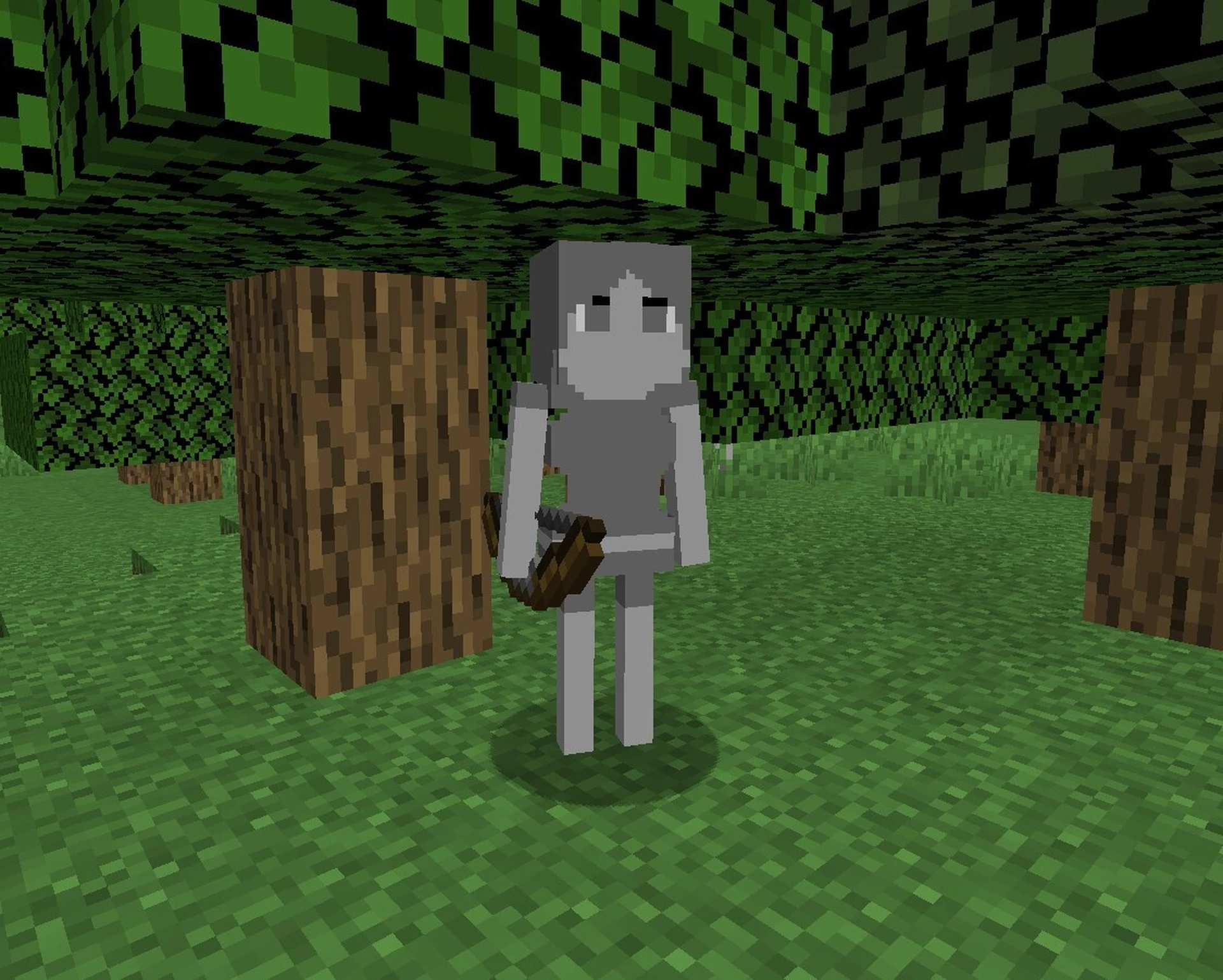 Skeleton Minecraft Girl