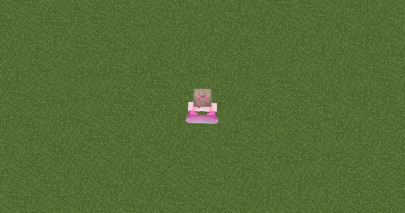 Pixel Consistent Elytra Minecraft Texture Pack