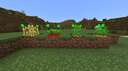 ready crops Minecraft Texture Pack