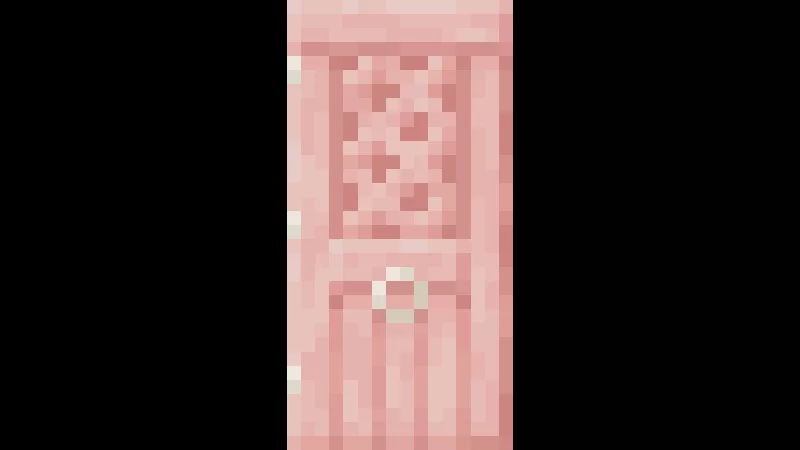Solid Cherry Door Minecraft Texture Pack