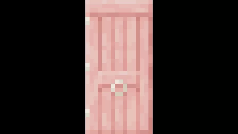 Solid Cherry Door Minecraft Texture Pack