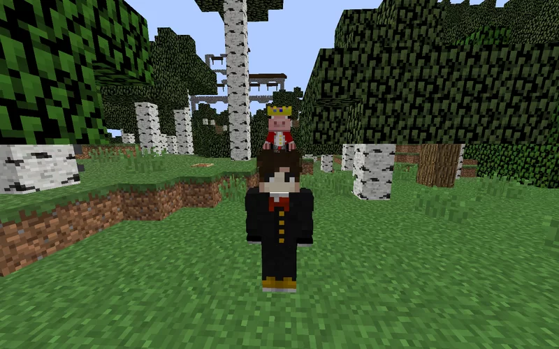 Technoblade plushie {optifine requires} Minecraft Texture Pack