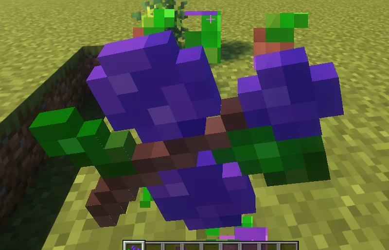 BetterBerries Minecraft Texture Pack