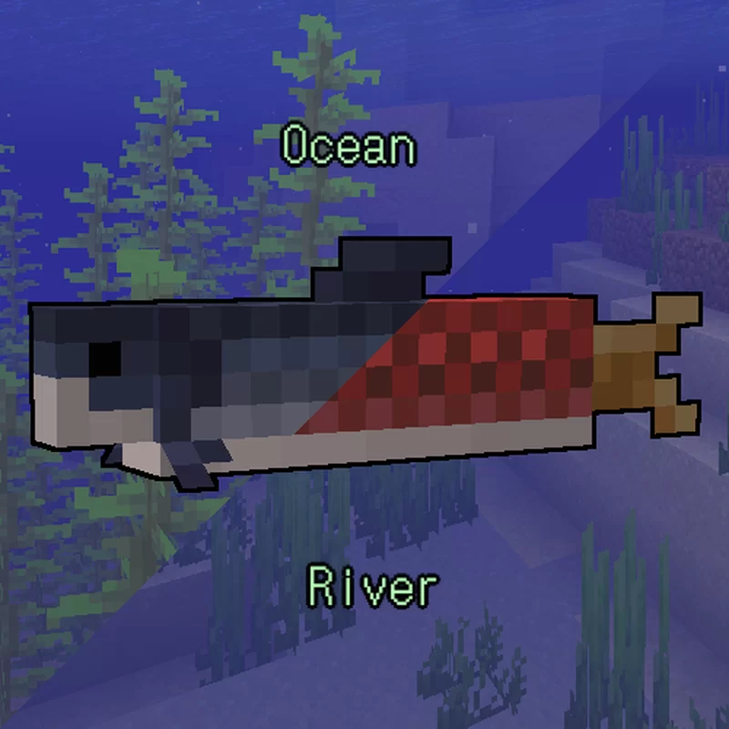 Accurate Salmon Variation Minecraft Texture Pack
