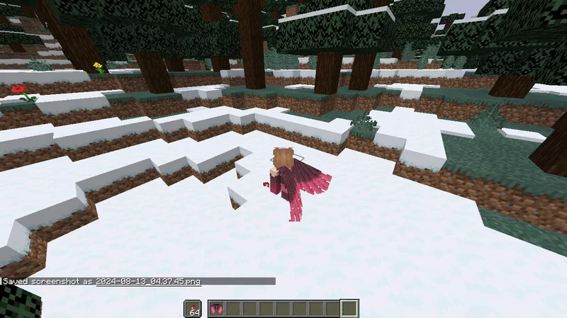 DDVAU CuteGuy Grian Wingies Minecraft Texture Pack