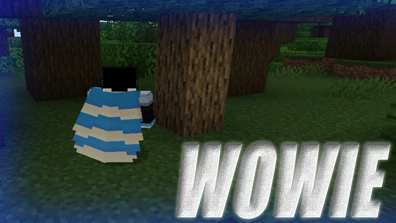 Cool Elytras (FANCY!!!) [1.19.2] Minecraft Texture Pack