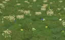 Os' Full Colorful Grasses (free or full versions) Minecraft Texture Pack