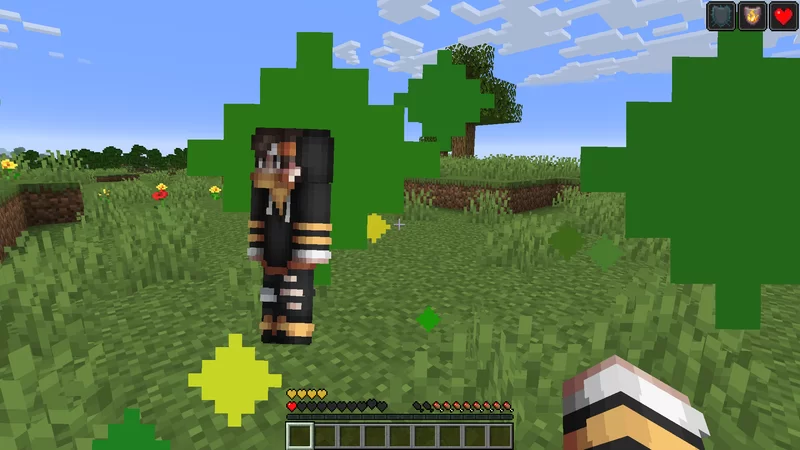 Zediaph Totem Pack 3D - Download Minecraft Texture Pack