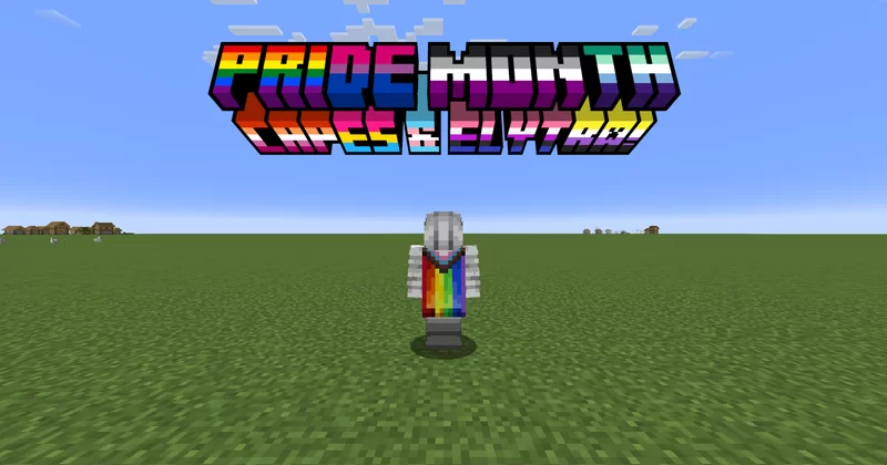 Pride Flag Elytras Minecraft Texture Pack