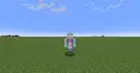Pride Flag Elytras Minecraft Texture Pack