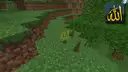 Allah Muslim Totem Of Undying Resource Pack Minecraft Texture Pack