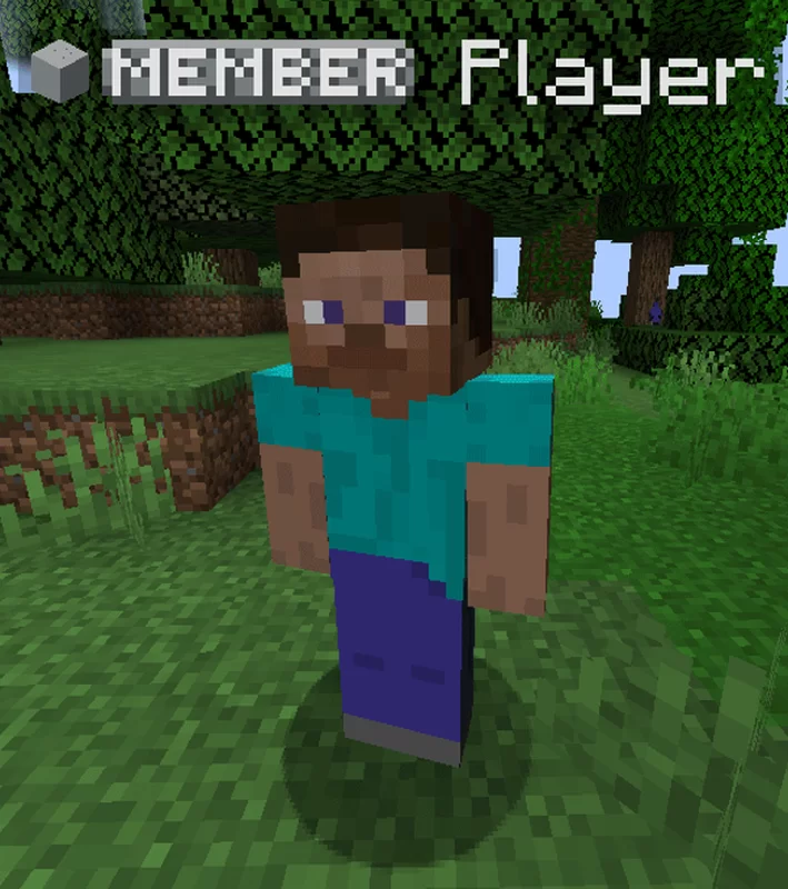 Rank Prefix Pack - Java And Geysermc Support (Download) Minecraft ...