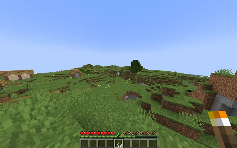 Invisible Grass Minecraft Texture Pack