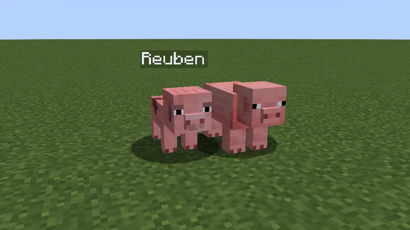 Reuben Pack Minecraft Texture Pack