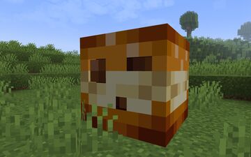 Best Donut 16x Minecraft Texture Packs | Planet Minecraft Community