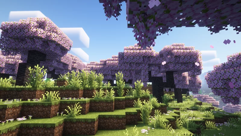 Enhanced Minecraft Texture Pack