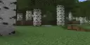 Full Invis Minecraft Texture Pack
