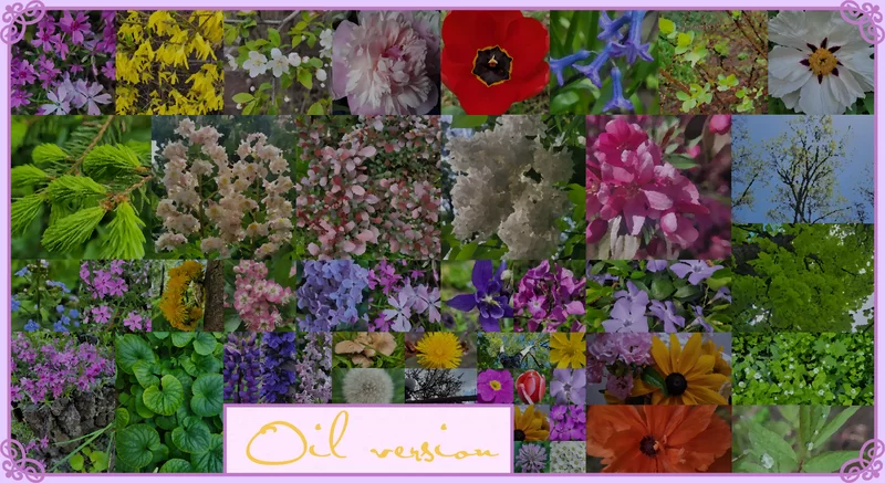 🌸 Cara's Flower Art [Minecraft Paintings Pack] (oil) Minecraft Texture Pack