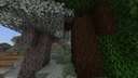 Pale Dark Oak Minecraft Texture Pack