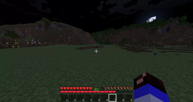 XP BAR RED Minecraft Texture Pack