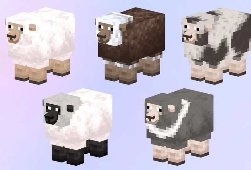 Prettier Sheep Minecraft Texture Pack